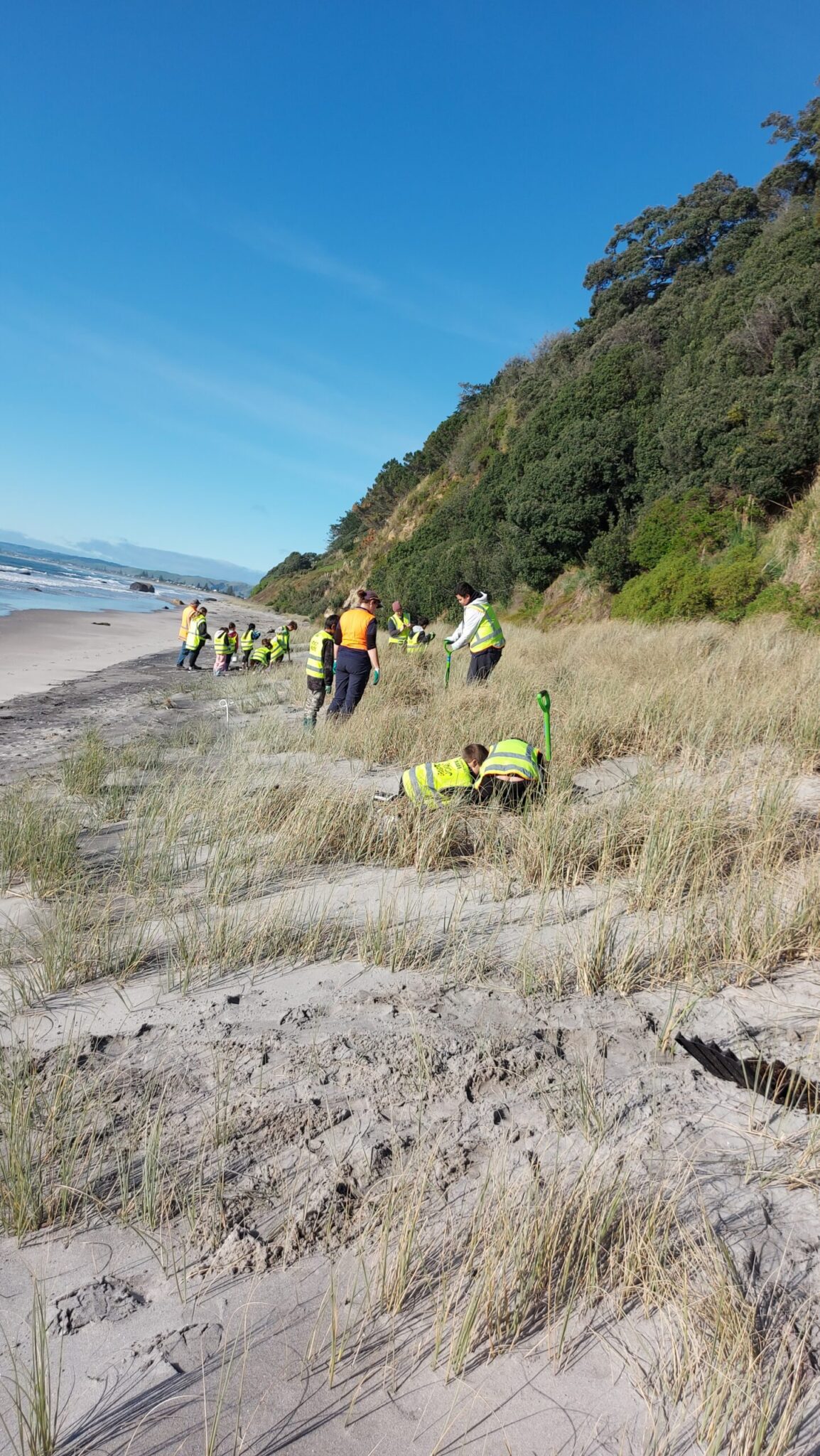 Lyttelton Primary School – AKO