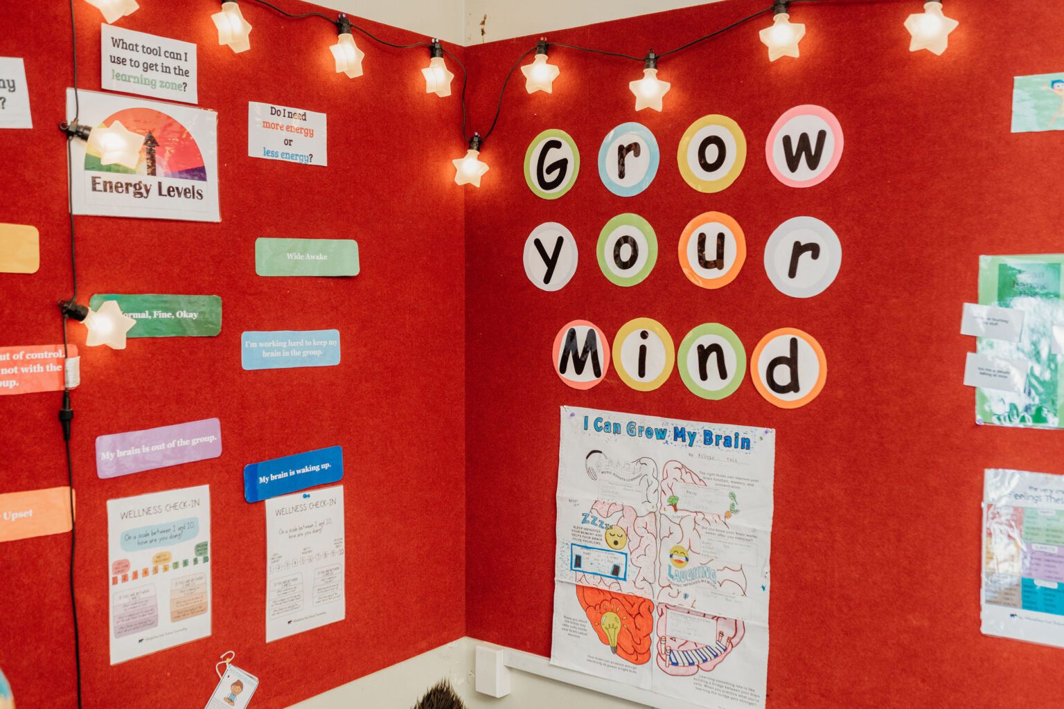 Nurture, emotional regulation and neuroscience: laying the foundation ...